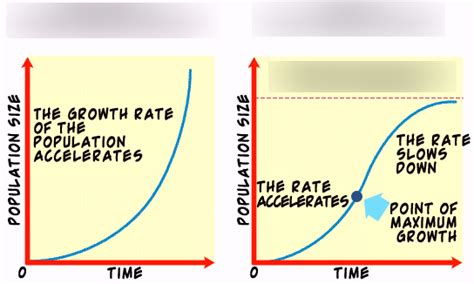 Withgott Ch 3 Population Dynamics Only Diagram Quizlet