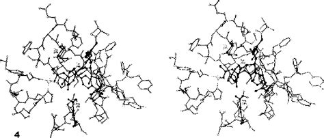 Figure 11 From Comparison Of The Structures Of Carboxypeptidase A And