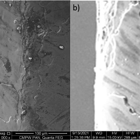 Sem Of Space Sample Under 45 • C A Upper Surface And B Bottom