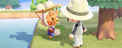Daisy Animal Crossing