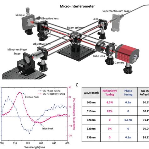 Dynamic Phase Tuning With Enhanced Excitonic And Trionic Resonances In