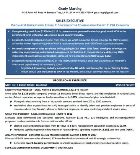 Executive Resume Templates Word Word Excel Pdf Formats
