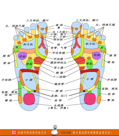 人体十二经络穴位图大全（值得收藏）高清 医学 体表 学说