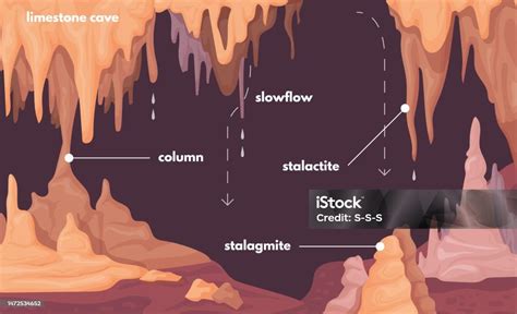 석순 인포그래픽 석순 형성 자연 종유석 기둥 내부 지하 아름 다운 동굴 서리 바위 돌 지상 동굴 풍경 텍스트 깔끔한 벡터