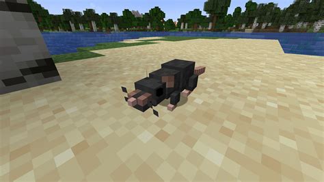 Minecraft Rats Mod Features Installation Guide And How To Play