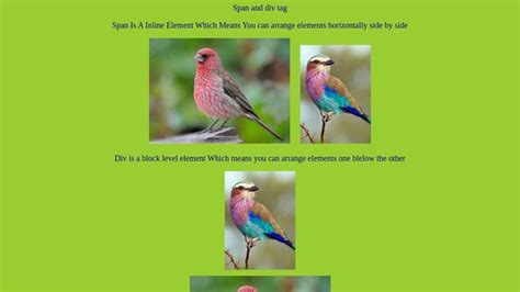 Codepen A Pen By Nitika Gupta