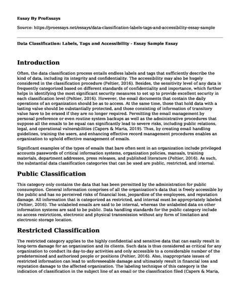 📗 Data Classification Labels Tags And Accessibility Essay Sample Free Essay Term Paper