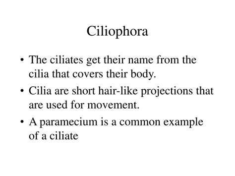 Ppt Ciliophora Powerpoint Presentation Free Download Id3005398