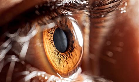 Genetic Mutation In Human Eyes