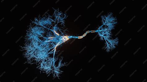 Premium Photo Neuron Cell Closeup View 3d Rendered Image Of Neuron Cell On Black Background