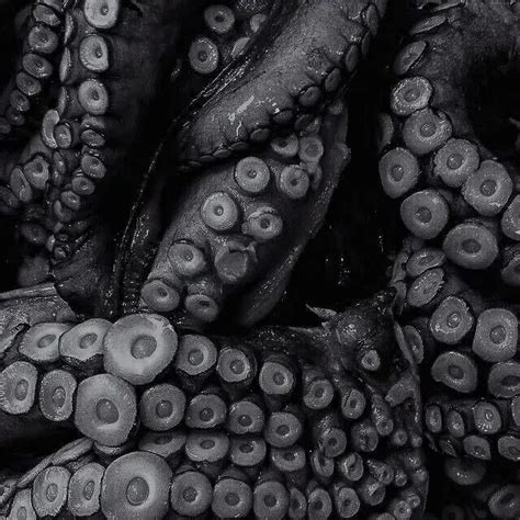 Character Eldritch Tentacle Being