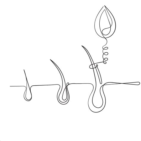 Continuous Line Drawing Serum For Hair Follicle Treatment Illustration 23893550 Vector Art At