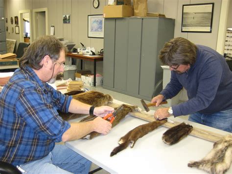 Conservation Classroom