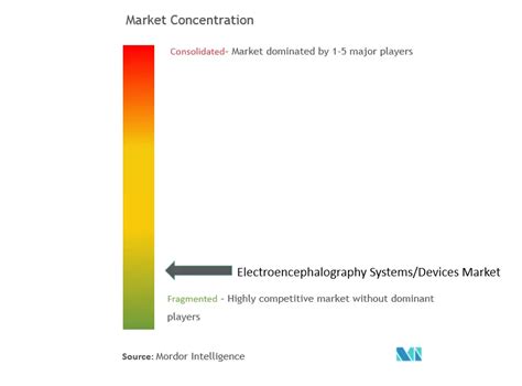 Electroencephalography Systemsdevices Companies Top Company List