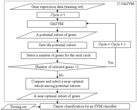 The General Procedure Of C Gasvm Download Scientific Diagram