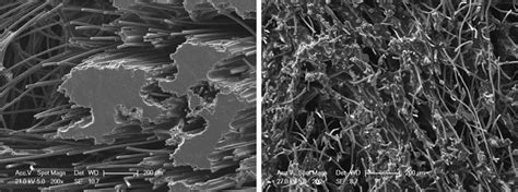 Microstructure Of Ablative Materials With Rfa Sigratherm On The Left