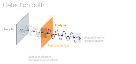 Polarization Resolved Microscopy And Spectroscopy Solutions Witec