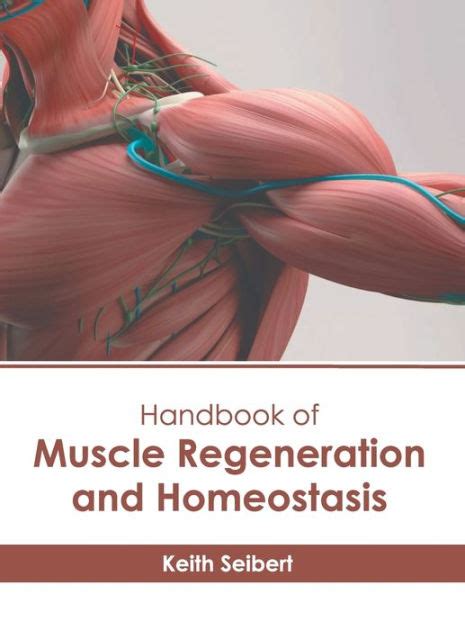 Handbook Of Muscle Regeneration And Homeostasis By Keith Seibert