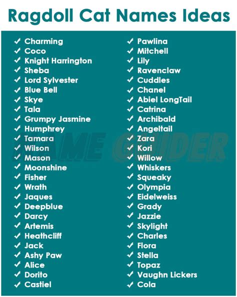 525 Ragdoll Cat Names Ideas And Suggestions Name Guider