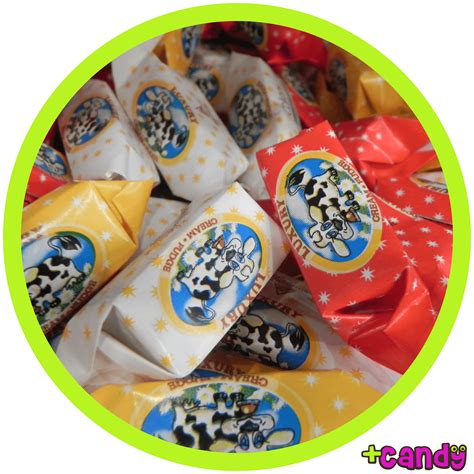 Solidarnosc Milk Cream Fudge [500g] Plus Candy