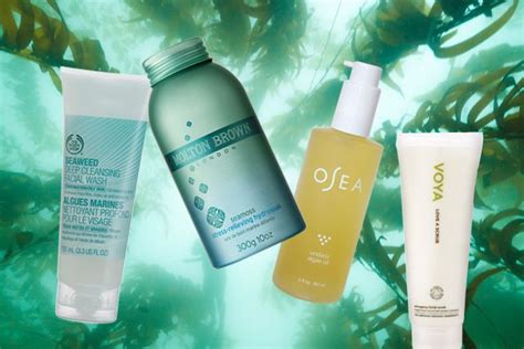 Try These Skincare Products Containing Seaweed For Healthy Nourished