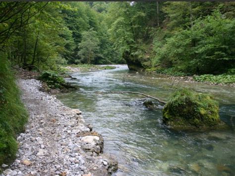 Np Risnjak Obnavlja Razoreni Most Prema Izvoru Kupe Točka Na I