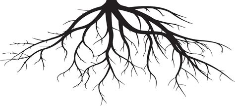 Tree Roots Silhouette Illustration 63478681 Vector Art At Vecteezy
