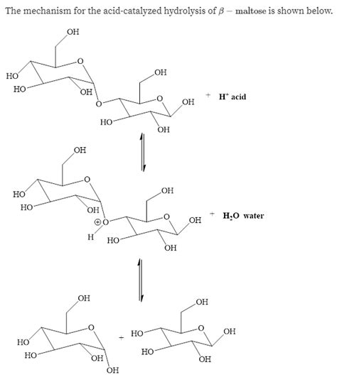 Acid Catalyzed Hydrolysis