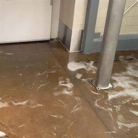 How To Degrease Tile Floor At Layla Nankervis Blog