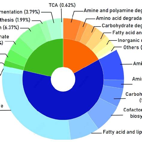Functional Assignments Of The Entire Fungal Microbiome Coexist With K Download Scientific