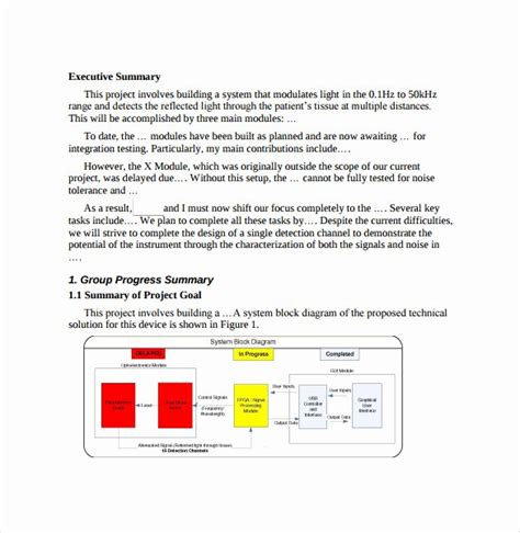 Summary Report Format Peterainsworth