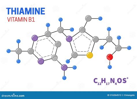Thiamine Vitamin B1 Molecule Structure Illustration Stock Vector