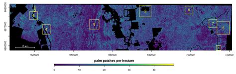 Regional Mapping And Spatial Distribution Analysis Of Canopy Palms In