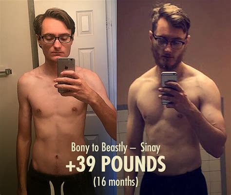 Ectomorph Workout Plan Beginner Weight Training Routine