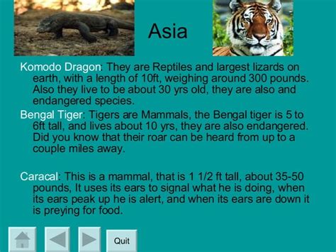 Interactive Ppt Project Ppt