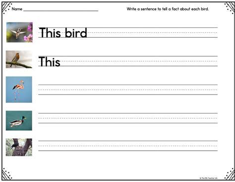 Esl Sentence Structure Worksheet