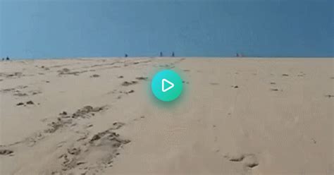 Speed Wobble Deluxe  On Imgur