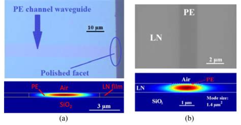 Micrograph And Scanning Electron Microscope Image Along