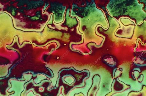 Liquid Crystals Stock Image A6080028 Science Photo Library