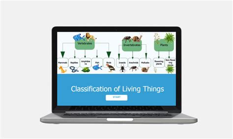 Using Classification Keys