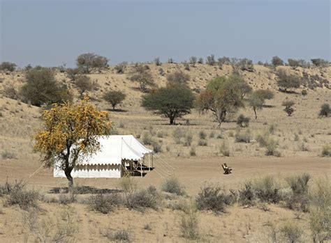 Private Camp Manvar Resort And Desert Camp