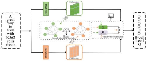 Harnessing Causal Structure Alignment For Enhanced Cross Domain Named Entity Recognition