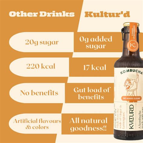 Ginger Lemongrass Kombucha Zero Added Sugar Pack Of 6