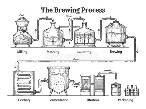 Brewing Process Diagram From Grain To Packaging Stock Illustration