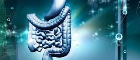 Tumor Location In Metastatic Colorectal Cancer Predictive Or Prognostic Oncology Central