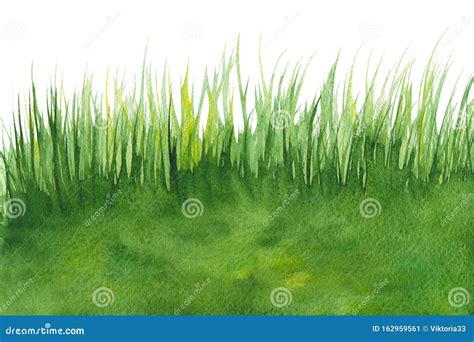 Abstract Green Like Grass Watercolor Textured Background On A White