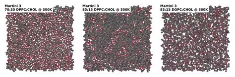 Martini 3 Coarse Grained Force Field For Cholesterol Theoretical And Computational Chemistry