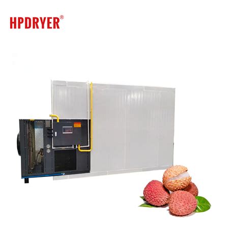 Lychee Drying Machine Industrial Drying System