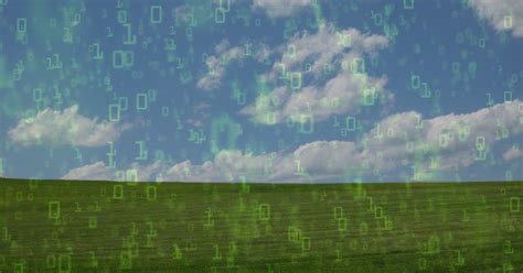 Beware Windows XP Users The Operating System S Source Code Has Just Been Leaked