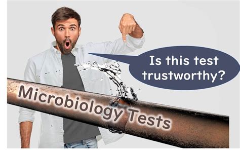 Easy To Understand Food Microbiology Testing Sampling Plans In The Icmsf Introduction To Food